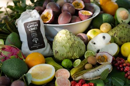 Growing Amongst Luscious Organic Tropical Fruits, FRINJ’S New Geisha ...